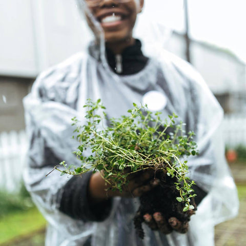 2022 Year-In-Review – Little Seed Farm