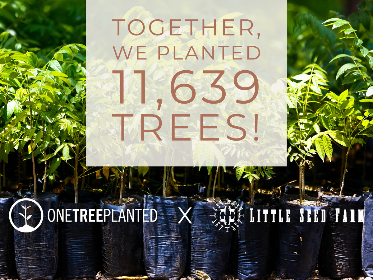 Earth Day 2021 – Little Seed Farm