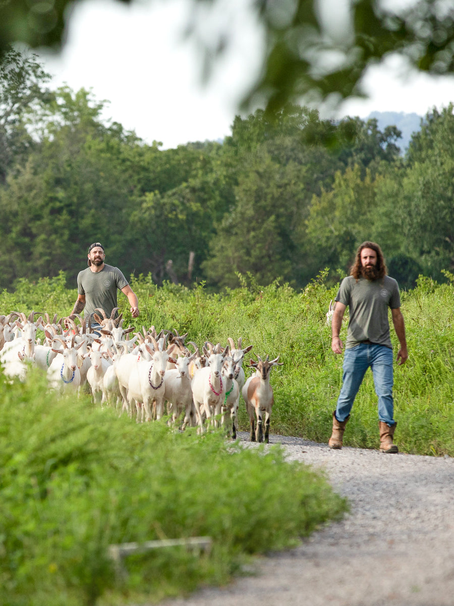 From Pasture to Lather – Little Seed Farm