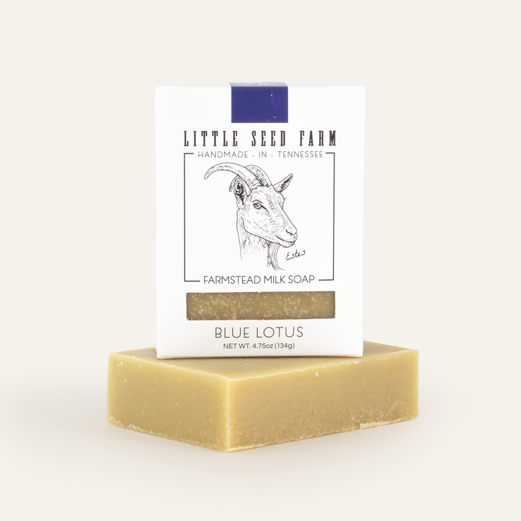 The Farm Shop – Little Seed Farm