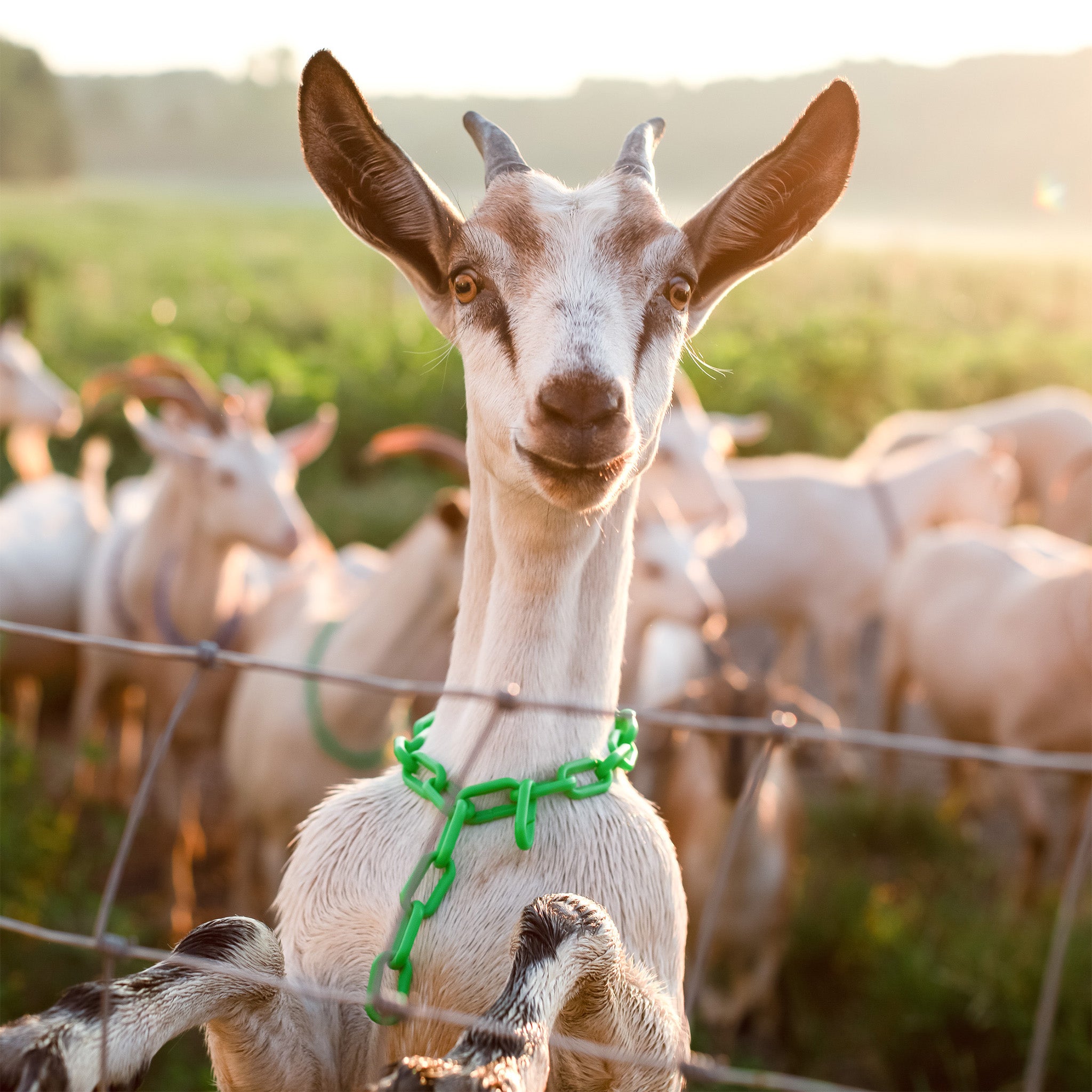 Contact – Little Seed Farm